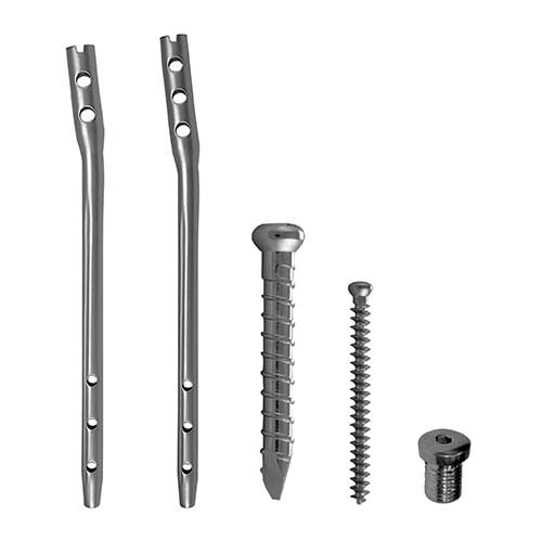 Trifix Supra Condylar Nailing System - Siora Surgicals Private Limited