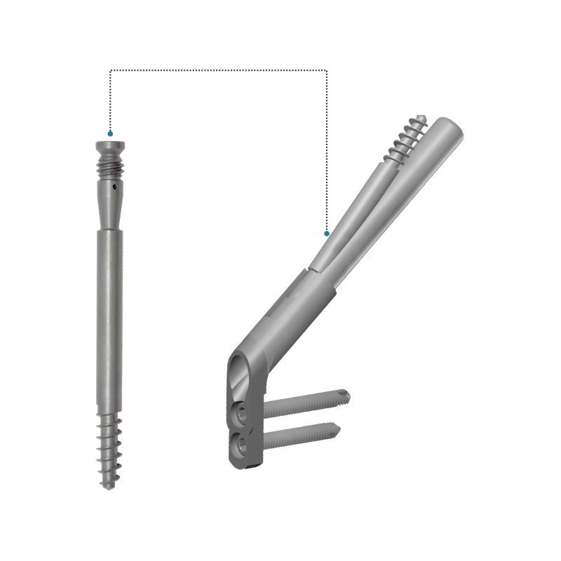 FNS - Antirotation Leg Screw - Titanium - Siora Surgicals Private Limited